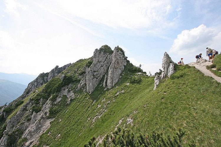 Veľký Rozsutec | Drevenica Bukovina